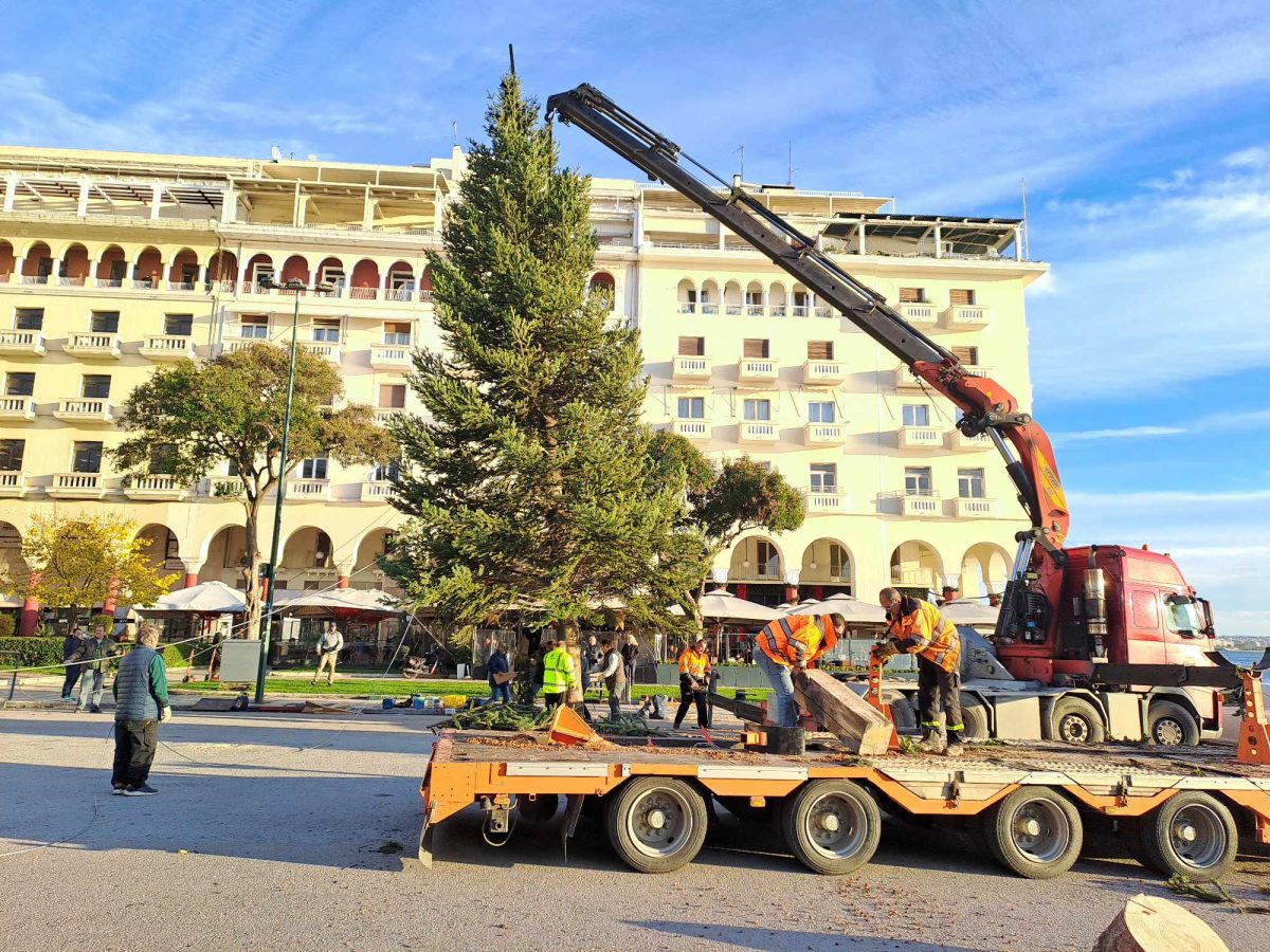 Θεσσαλονίκη: Ανακύκλωση Χριστουγεννιάτικων δέντρων από τους Δήμους ...
